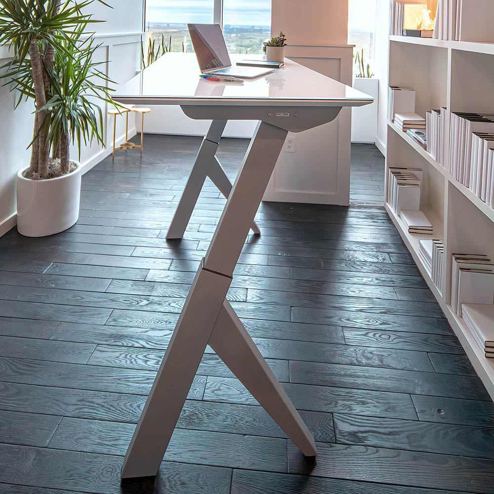 Model Y Desk - No Mondays